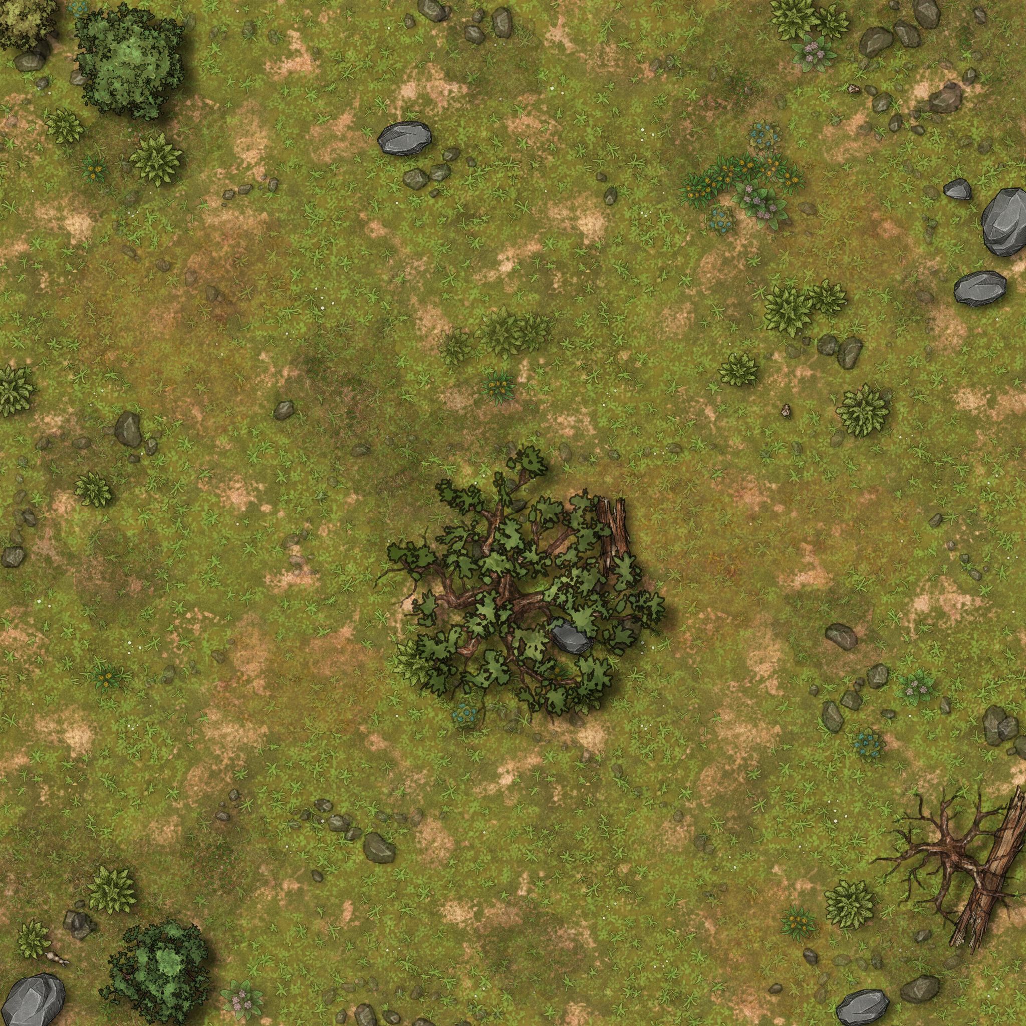 Lively Grassland | Inkarnate - Create Fantasy Maps Online