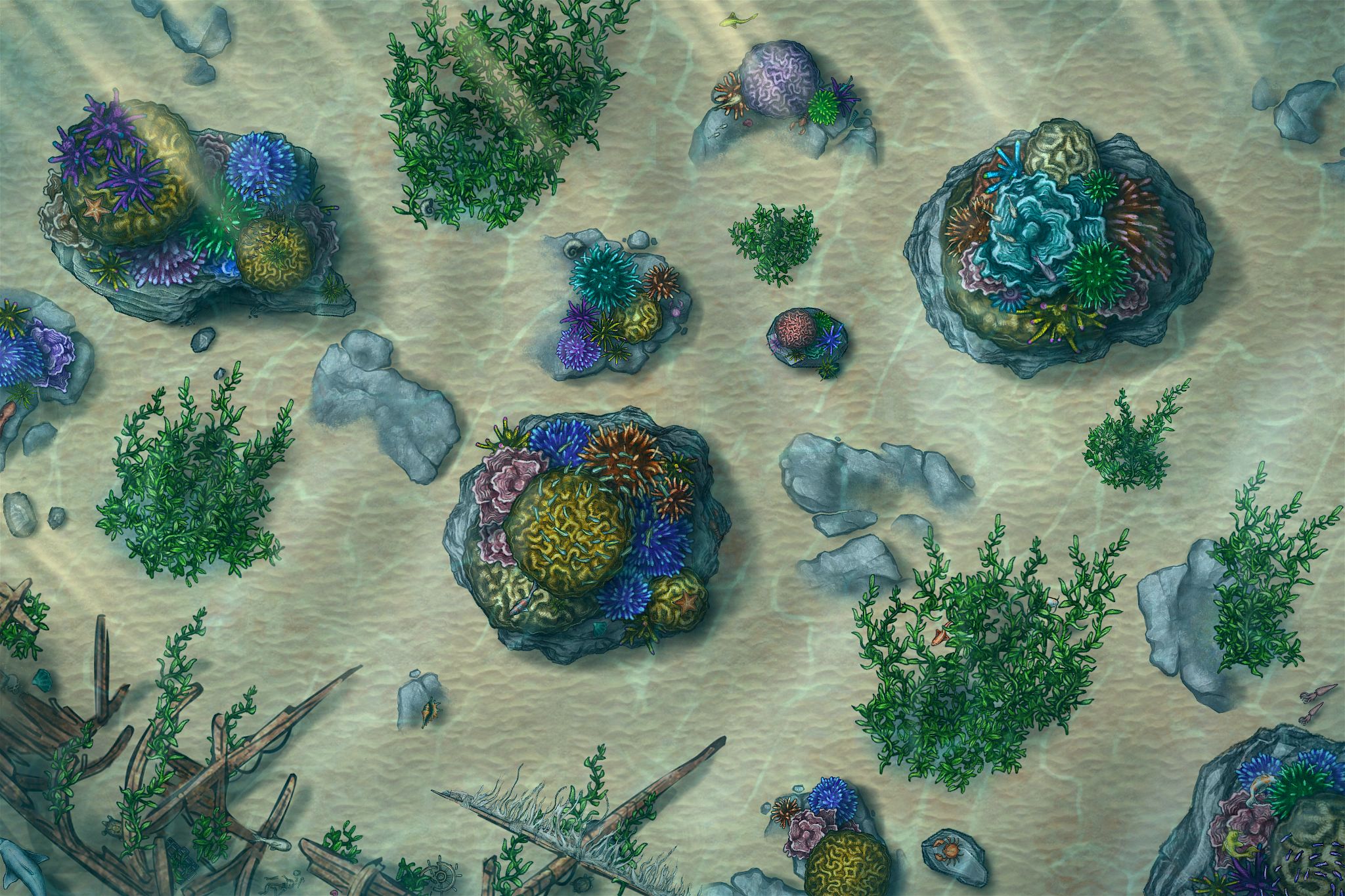 Coral Reef | Inkarnate - Create Fantasy Maps Online